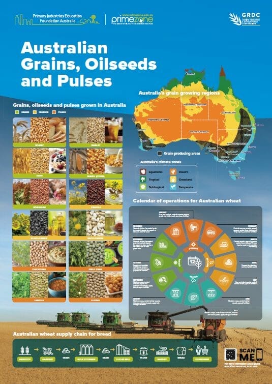 Grains Education | Primezone Lesson Plans